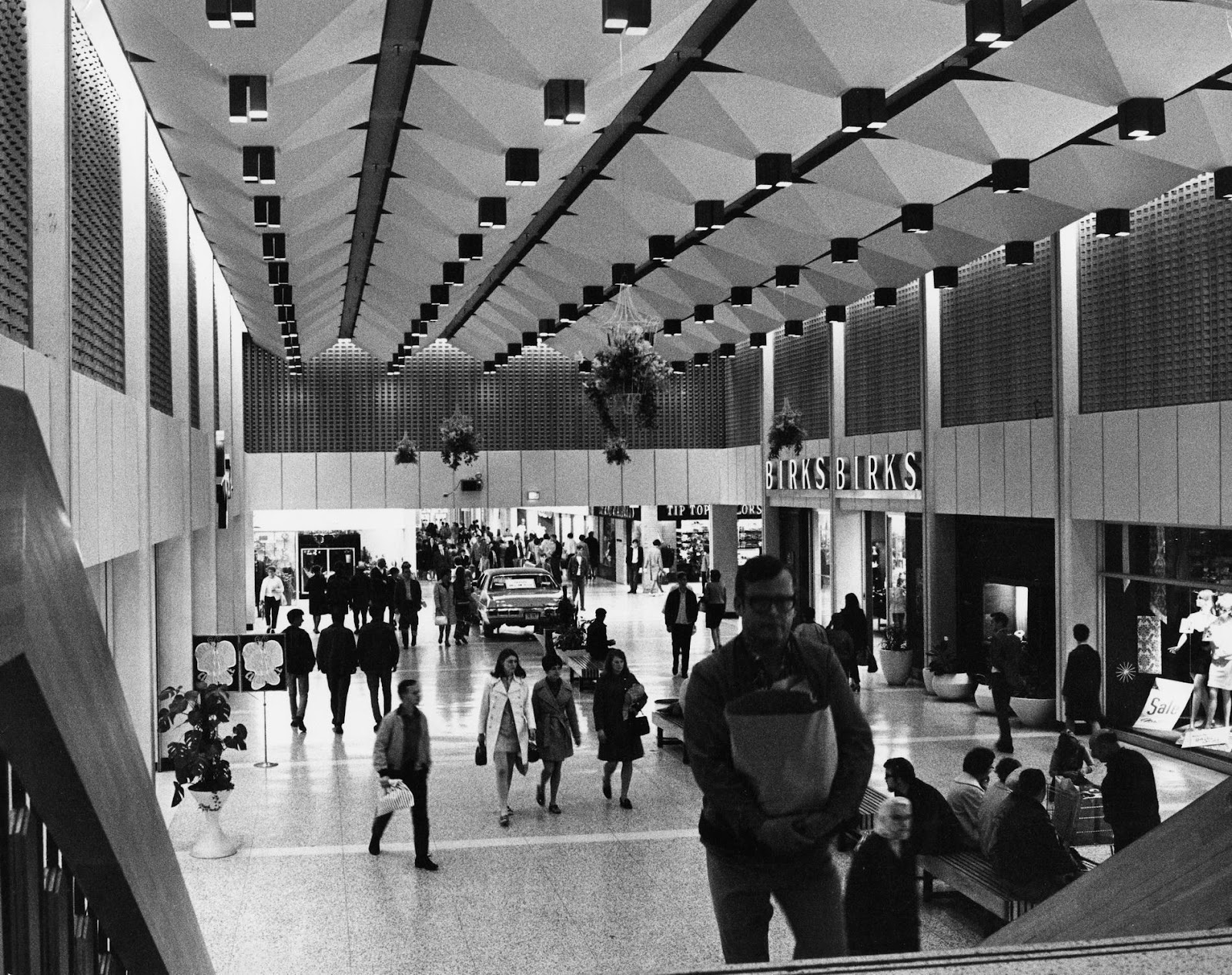 Welcome to Avalon Mall - Avalon Mall